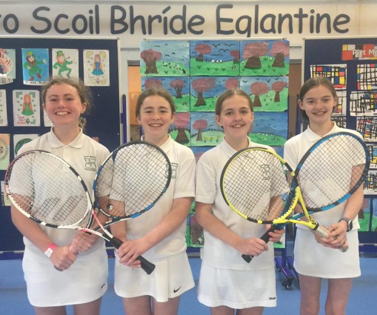 Home - Scoil Bhríde, Eglantine