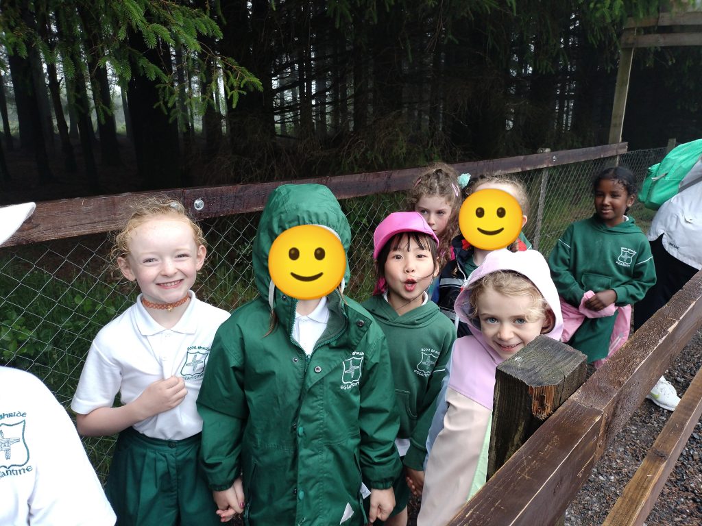 School Tour to Leahy's Farm - Scoil Bhríde, Eglantine