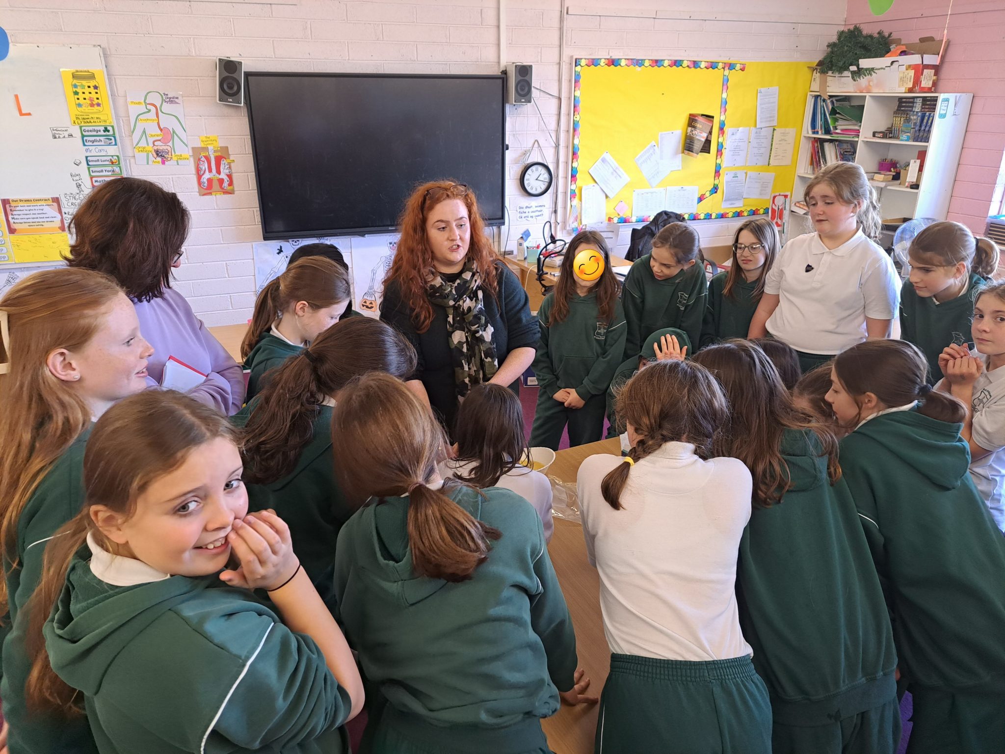 Home - Scoil Bhríde, Eglantine